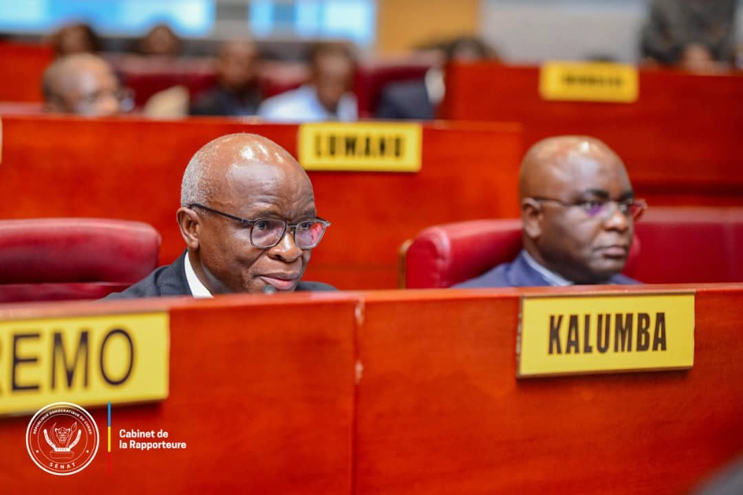 ‎Gouvernement Suminwa II : Justin Kalumba Mwana Ngongo fait son come ...